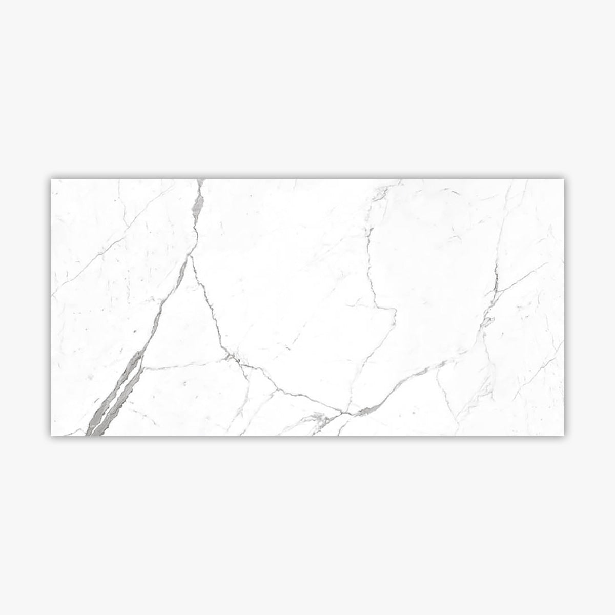 Calacatta Pearl Matte 12x24 Porcelain Tile – Direct Stone Source