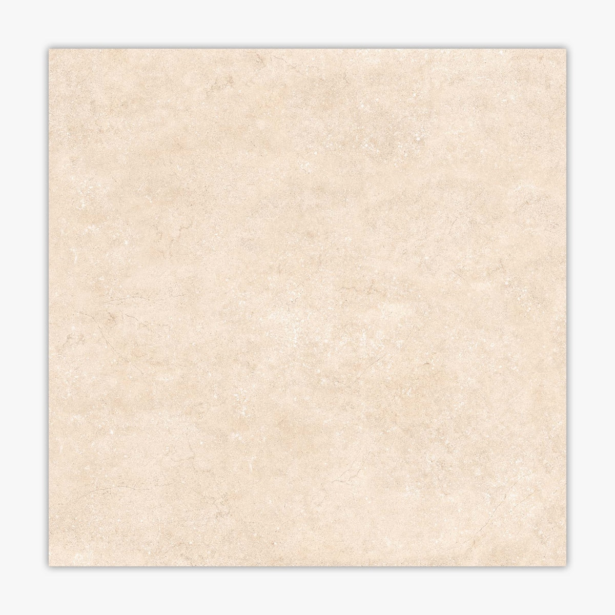 Ark Ivory Polished 24x24 Porcelain Tile – Direct Stone Source