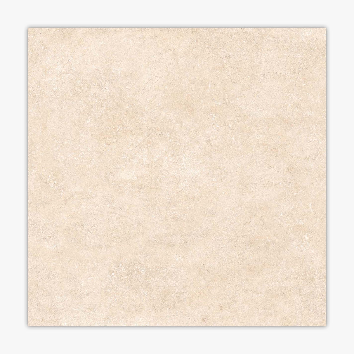 Ark Ivory Matte 24x24 Porcelain Tile – Direct Stone Source